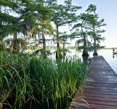 Louisiana Jobs - Home