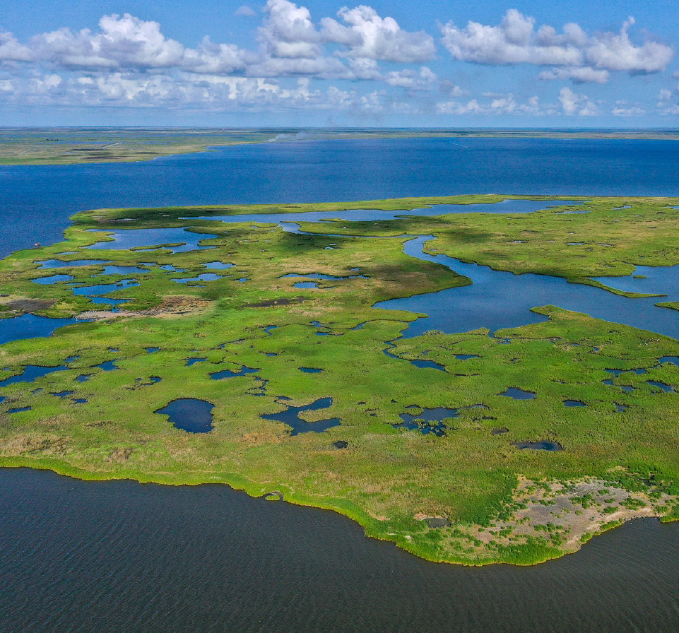 Louisiana Jobs - Home